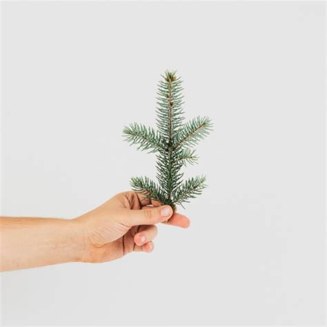 Events Kristin Replogle Art Llc