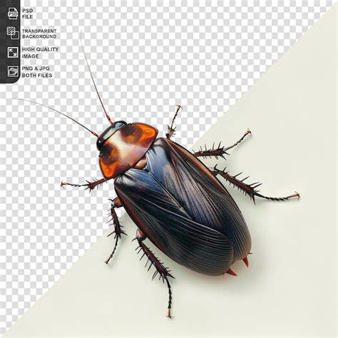Premium Psd Cockroach 3d Modeling Psd File Realistic Cockroach