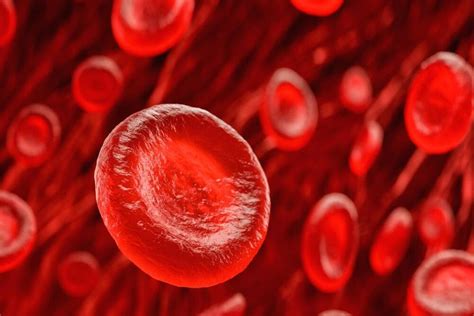 Innovative Thinking Could Make New Sickle Cell Treatments More