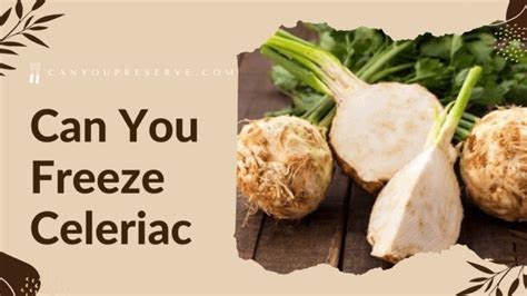 Expert Advice How Long Can You Freeze Celeriac Without Compromising Quality Can You Preserve