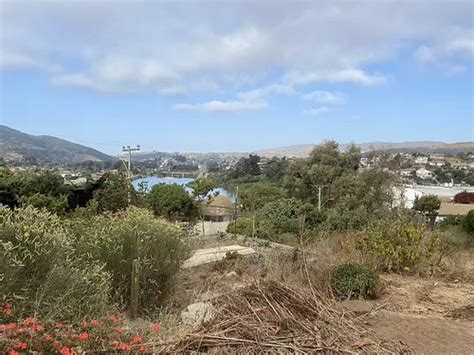 Maitencillo Mercadolibre