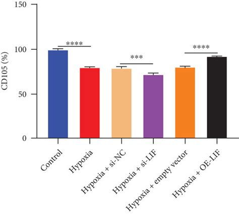 Upregulated Lif Promotes Self Renewal And Differentiation Of Hypoxic