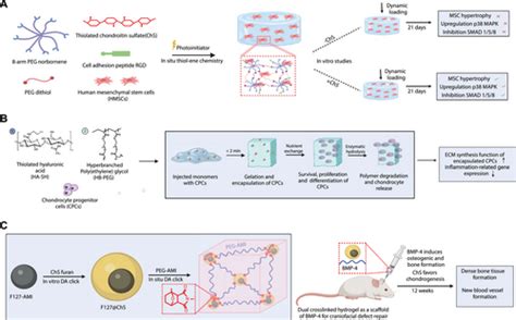 Intra‐articular Injectable Biomaterials For Cartilage Repair And