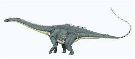 5 Facts About Diplodocus