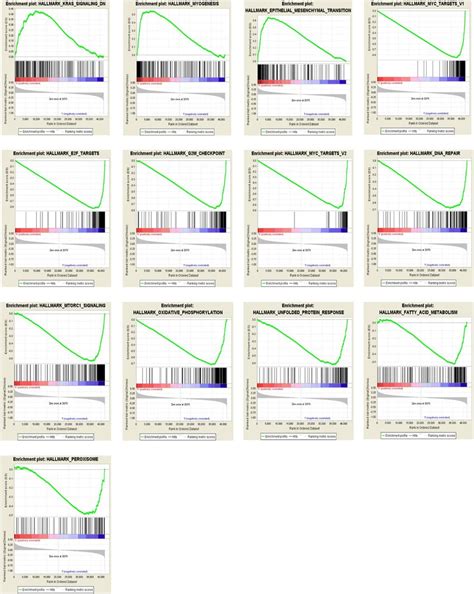 Panel With 3 Gene Sets Enriched For Cdkn2a Gene Hypermethylation And 10