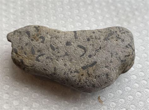 Found On The North Oregon Coast About 2 5 Inches Long Dark Pieces Look Like Some Sort Of