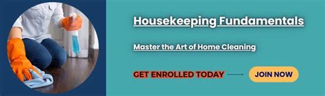 What Are The 7 Basic Principles Of Housekeeping A Complete Guide To