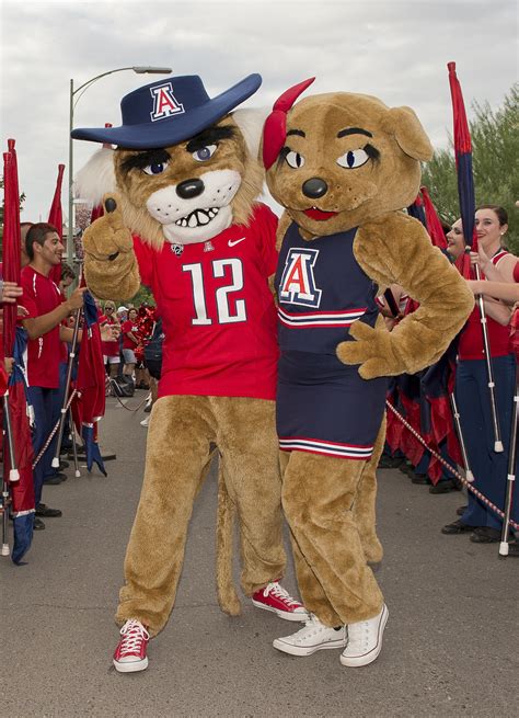 Untold Arizona Arizona University Mascots A Century In The Making