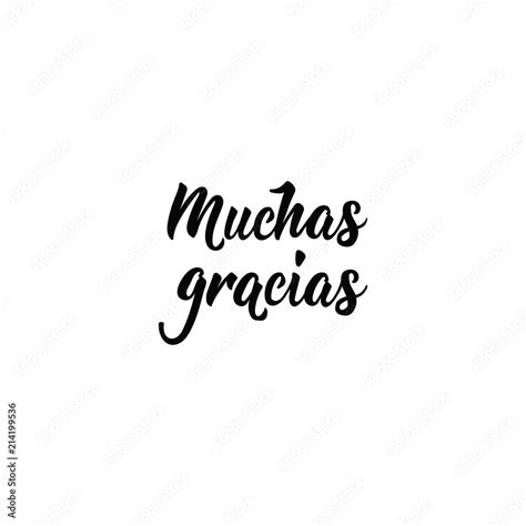 Text In Spanish Thank You Very Much Calligraphy Vector Illustration
