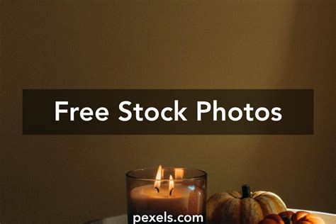 Pumpkin Season Pfp Photos Download The Best Free Pumpkin Season Pfp