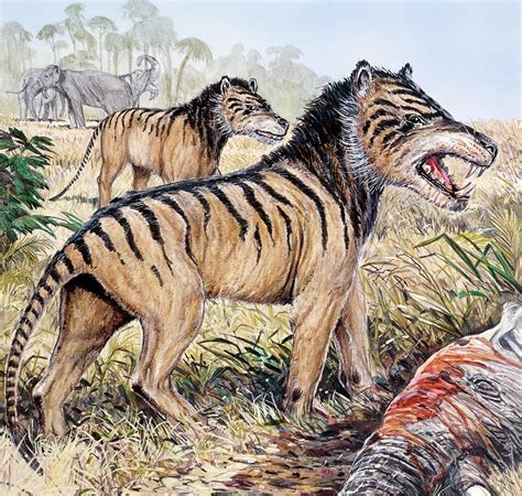 Hyaenodon Photograph By Science Photo Library Pixels
