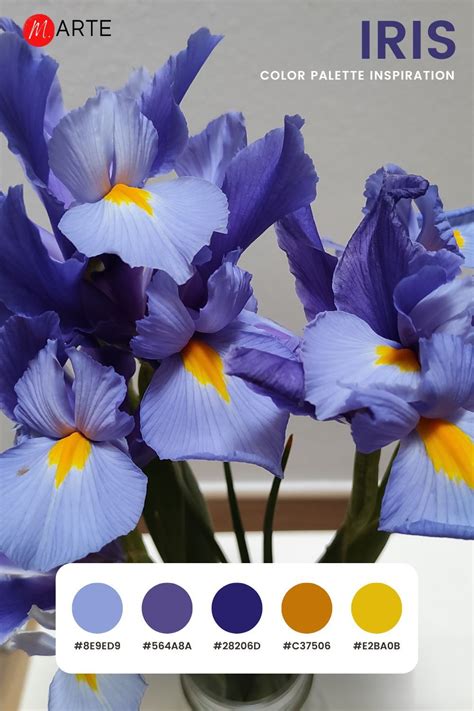 Iris Flowers In A Vase With Color Swatches