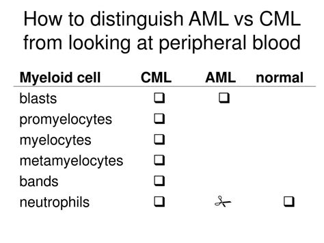 PPT Acute Leukemia PowerPoint Presentation Free Download ID 340982
