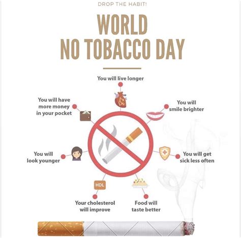 Celine Aoun On Linkedin Celineaoundietclinic Worldnotobaccoday