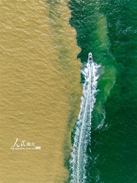 黄河入海口 花瓣网