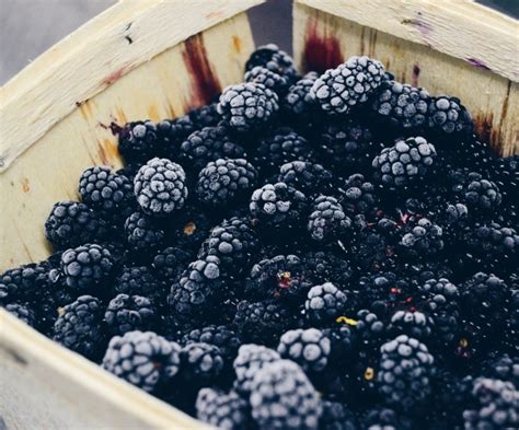 Lhistoire De La Mûre Bocobox