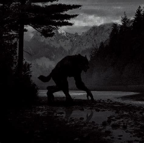 Yandere Werewolf X Reader On Tumblr