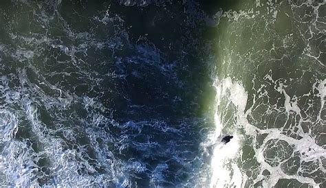 Can Mark Drewelow Bodysurf 60 Waves In 1 Hour The Inertia