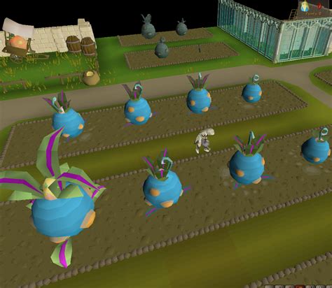 Tithe Farm Guide Ironscape Wiki Fandom