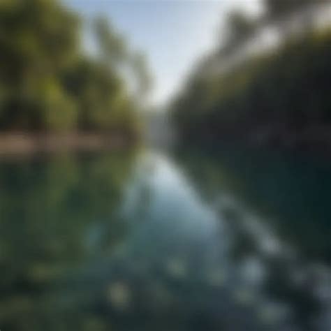 Examining Ocean Salinity Natural And Human Factors