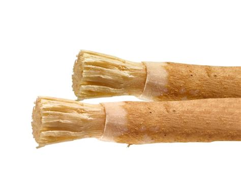 Premium Photo Salvadora Persica Toothbrush Tree Miswak Arak Leaves