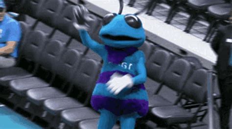 Charlotte Hornets Hugo The Hornet  Charlottehornets Hugothehornet