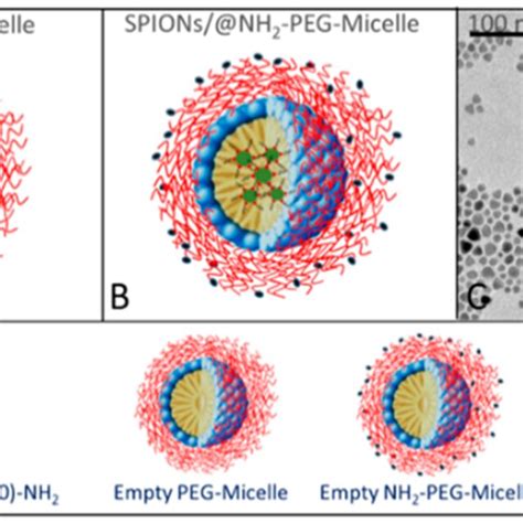 Schematic Representation Of Superparamagnetic Iron Oxide Nanoparticles