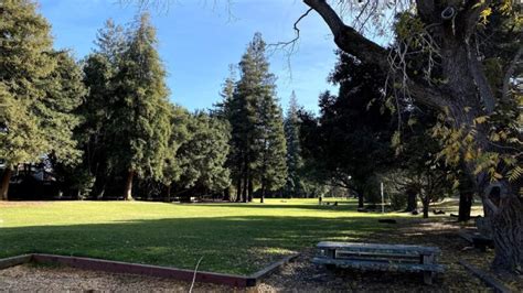 Cornelis Bol Park Palo Alto Ca Bark Park Finder