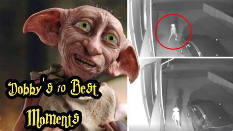10 Best Dobby Moments Youtube