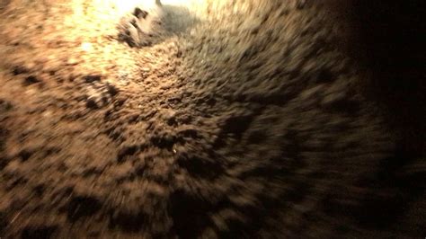 Aluminum Potassium Nitrate Flash Powder Youtube