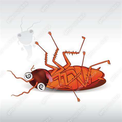 Cockroach Cartoon Characters 이미지 468420624 일러스트 무료 일러스트 게티이미지뱅크