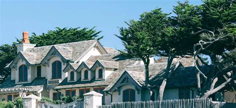 The Impact Of Tree Overhang On Roof Health And Maintenance