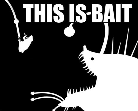 [image 714344] Bait This Is Bait Know Your Meme