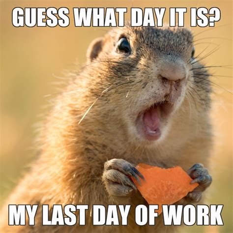 Last Day Work Memes Work Memes 27 Lols To Survive The Midweek Slump