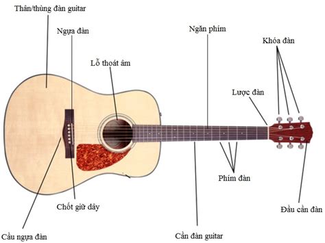 Các Bộ Phận Chính Của Một Cây đàn Guitar Bạn Nên Biết
