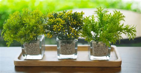 Making Artificial Plants At Mae Miller Blog