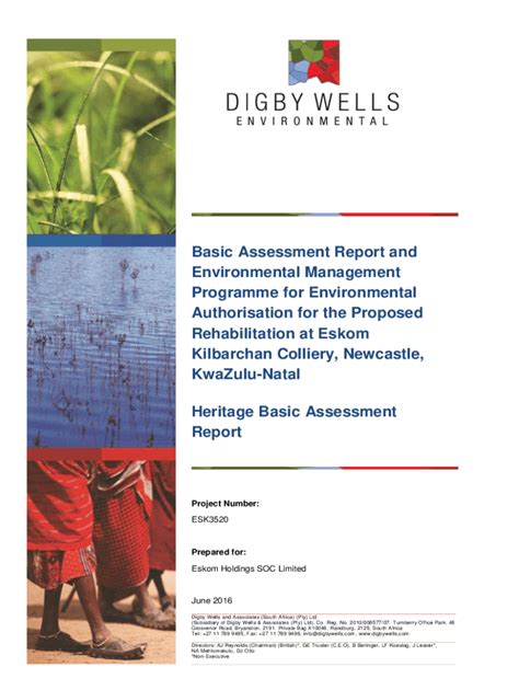 Fillable Online Basic Assessment Process For Rehabilitation Activities
