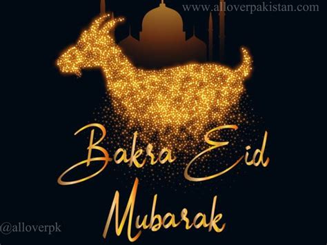 Bakra Eid Collections Eid Ul Adha Quotes And Funny Sms
