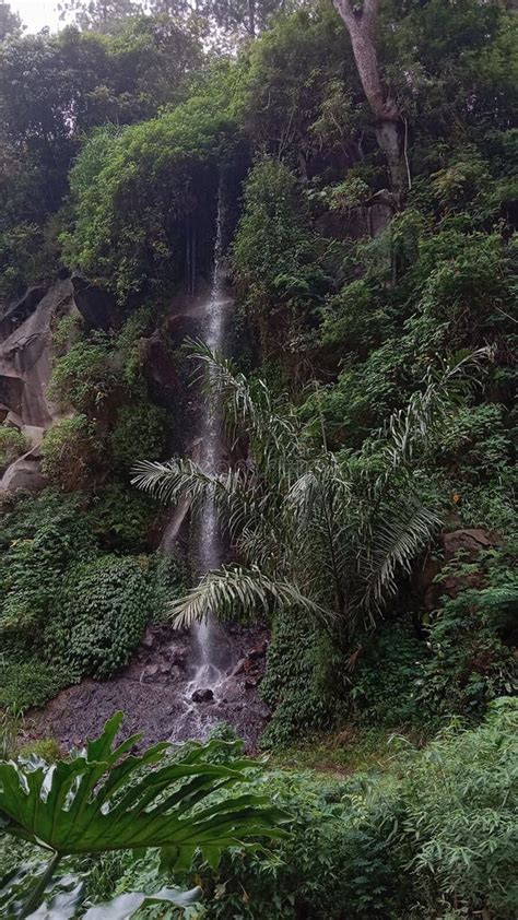 Coban Putri Waterfall With Its Natural Beauty Stock Image Image Of Beauty Putri 265656339