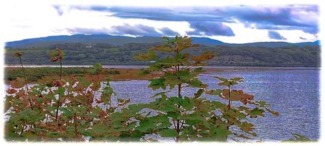 Llyn Bach More Views Whilst Walking Around Llyn Bach Port Flickr