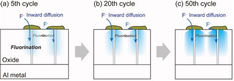 Schematic Illustration Of The Evolution Of Passivation Layer Upon