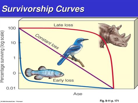 Ppt Population Ecology Powerpoint Presentation Free Download Id
