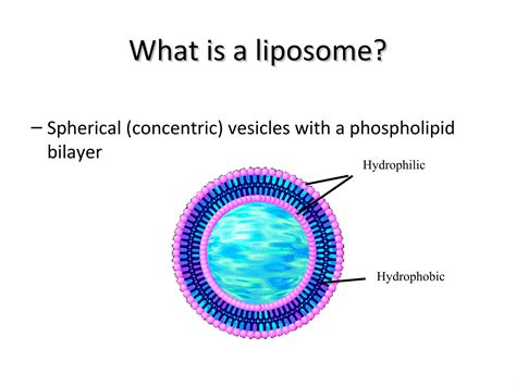 Liposomes Classification Methods Of Preparation And Application Ppt