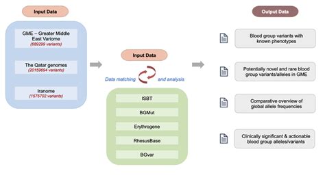 Schematic Representation Of The Methodology Followed For Data Analysis Download Scientific Diagram