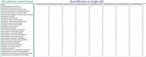 An Example Of The Count Matrix That Is Automatically Generated By Mtd Download Scientific