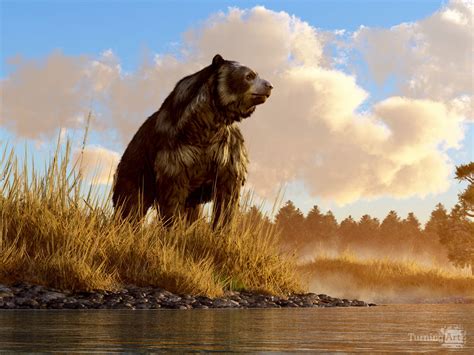 Short Faced Bear By Daniel Eskridge Turningart