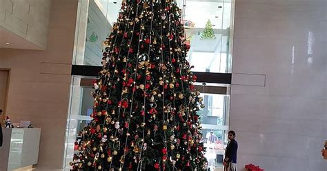 Testing Album On Imgur