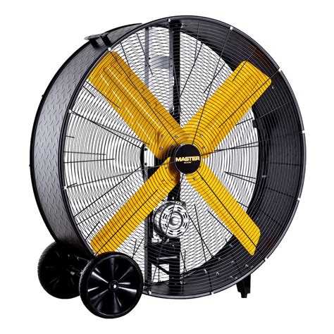 Big Fan