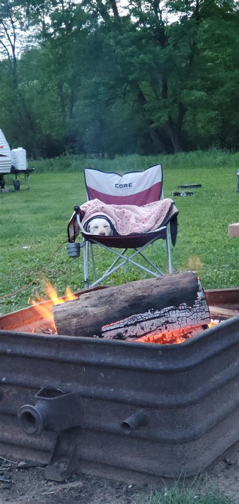 Ruby Loves To Sleep In Her Aunties Chair Scrolller