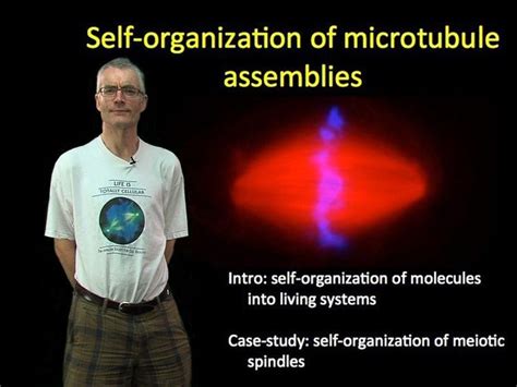 Tim Mitchison Alchetron The Free Social Encyclopedia